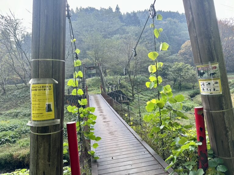 高立山(たかたてやま) 276m 大沢森林公園コース【登山コース徹底解説】｜新潟の山らて
